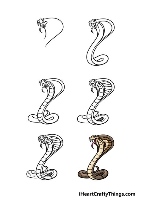 Cobra Drawing How To Draw A Cobra Step By Step