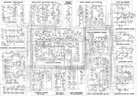 Ah There S The Precursor To Book Embedding Graph Theory “signal Flow Graph” It S Usually
