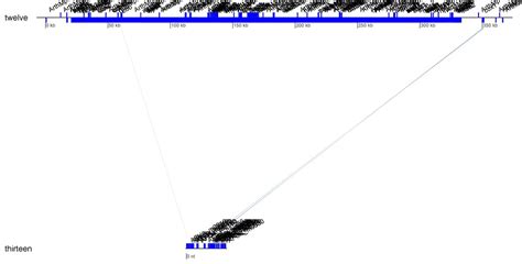 How To Create Plot Using Genoplotr In R For Genomic Data