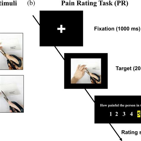 The Behavioral Data In The Fmri Experiment A Bar Charts Depicting