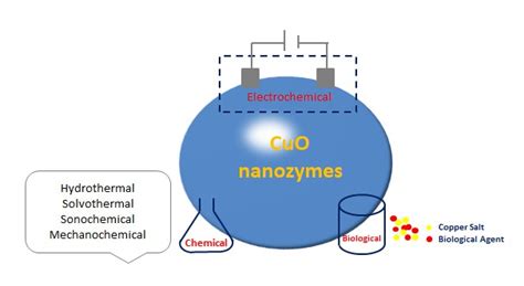Construction Of Copper Based Nanozymes