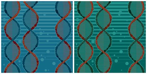 Double Helix Vector Images Over 1100