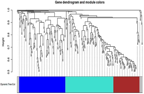 Cluster Dendrogram And Module Assignment For Modules From Wgcna