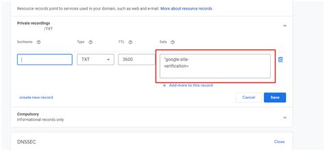 How To Verify Domain Ownership Via DNS Record Dopinger Blog