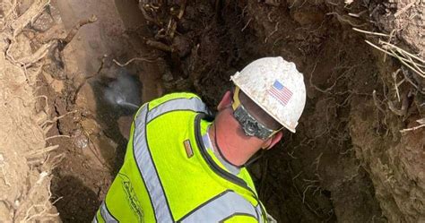 Expert Root Removal Services APS Environmental Urban Development
