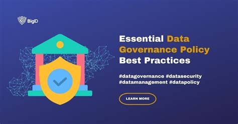 Essential Data Governance Policy Best Practices Bigid