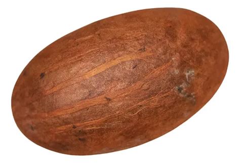 Orobo Africano Kit 20 Unidades De Orogbo Parcelamento Sem Juros