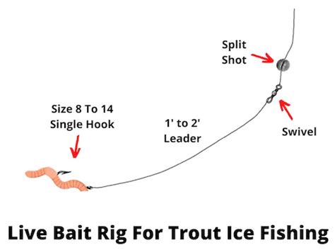 Trout Ice Fishing Rigs Complete Guide With Pictures