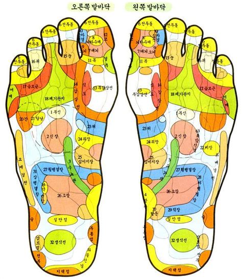 발관리 발반사구의 위치 발 건강 지압점 지압