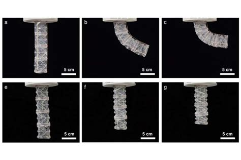 Microrobot Swarms Mimic Ant Like Feats Of Strength New Scientist