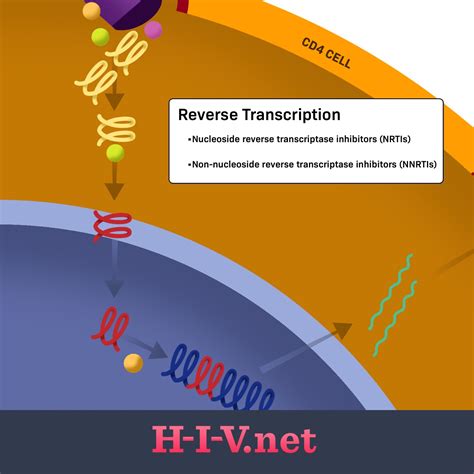 Hiv Non Nucleoside Reverse Transcriptase Inhibitors Nnrtis
