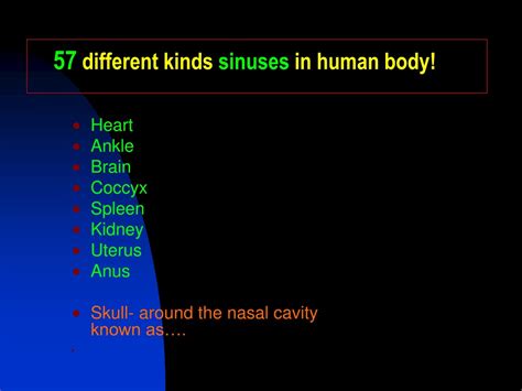 PPT What Is A Sinus PowerPoint Presentation Free Download ID