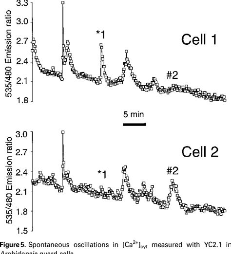 Calcium Indicator Semantic Scholar