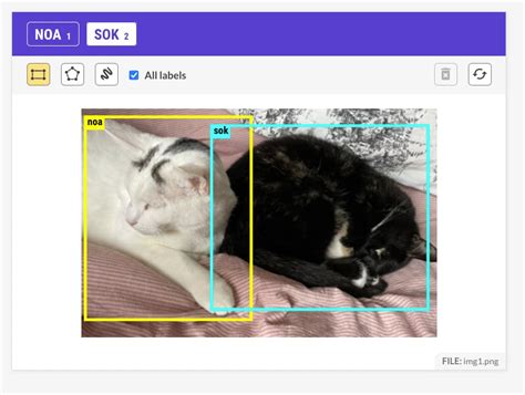 Relations Between Image Objects Usage Prodigy Support