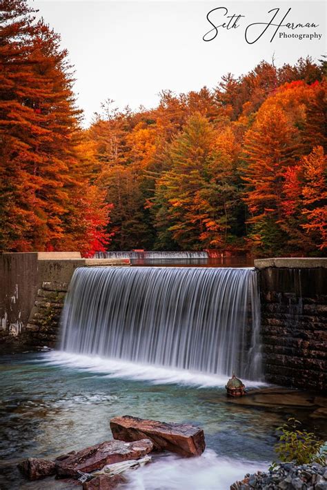 Potd 10 03 23 Potd On Godubois