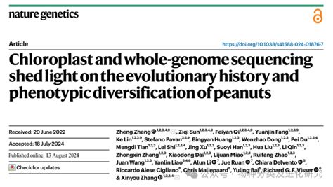 植物叶绿体基因组 113份群体叶绿体测序和369 份花生群体重测序揭示了花生的进化历史和表型多样化 知乎