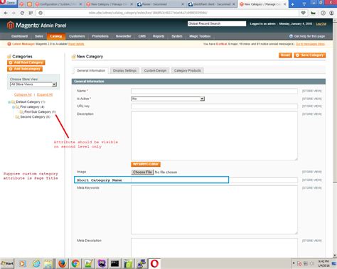 How To Hide A Custom Attribute To Category On Particular Category Level