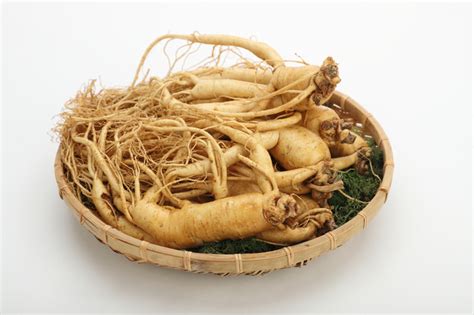 인삼 소비 활성화 방안 모색 위해 전문가 머리 맞대