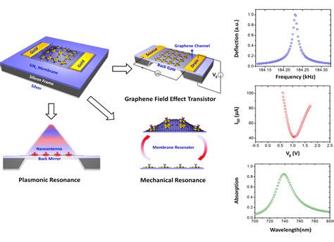 Graphene Based Biosensor Works In Three Ways At Once Research And Development World