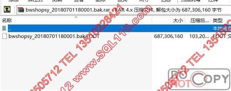 Sql数据库中病毒数据恢复 Sql数据库中foot病毒恢复 扩展名foot数据库恢复