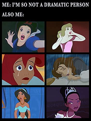 Funny Disney Princess Memes