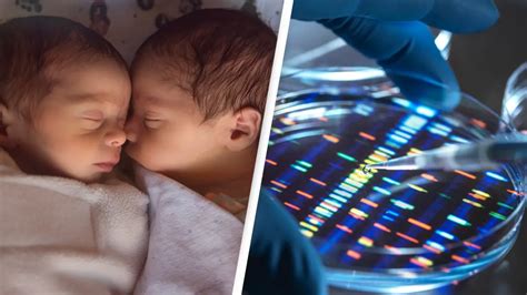 Identical Twins Separated Aged Two And Raised In The Us And Korea Have ‘striking Iq Difference