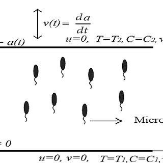 Schematic Diagram Of The Problem Download Scientific Diagram