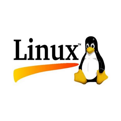 Linux Server Management Service With 24 7 Monitoring Per Server In