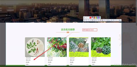基于pythonflask框架的中医古方名方信息管理系统（开题程序论文） 计算机毕设python 中医药 源码 Csdn博客