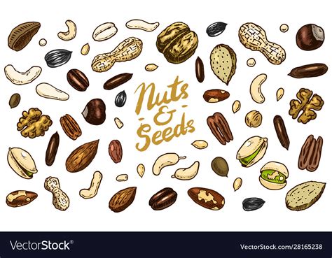 Tổng Hợp 9999 Nuts Background Vector Với Thiết Kế độc đáo Và Sáng Tạo
