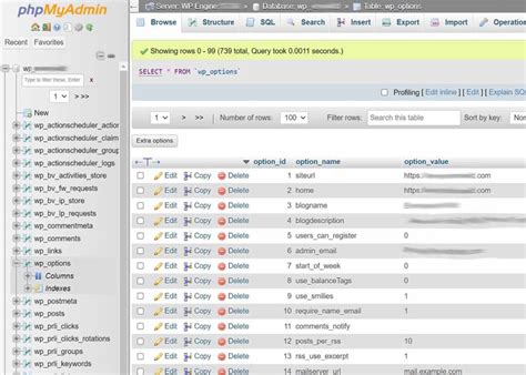 Wordpress Wpoptions Table Beginners Guide Wpbuilt