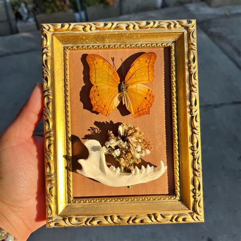 Labyrinth Eye Lichen Labyrinth Eye Plant Gothic Decor Labyrinth