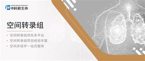 Nature Genetics（if：31 7）｜深入挖掘肺纤维化未知领域！空间转录组图谱为特发性肺纤维化病理机制提供新见解！ 知乎