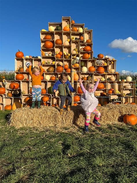 Sandy Bottom Farm Pumpkins Hedon Hull