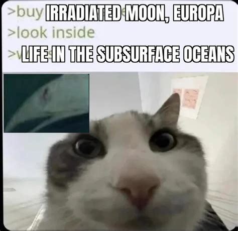 Life In The Subsurface Oceans Reuropanhookmouth