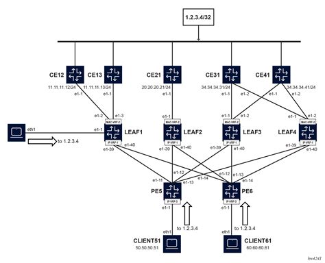 Combined Ecmp For Bgp Pe Ce And Evpn Iflip Vpn