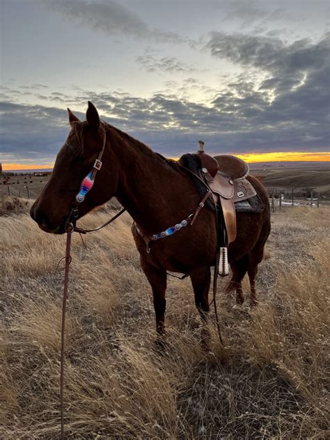 8 A2 Dd865 D9 E3 4842 Ac51 A54 A5 C2359 B5 — Postimages