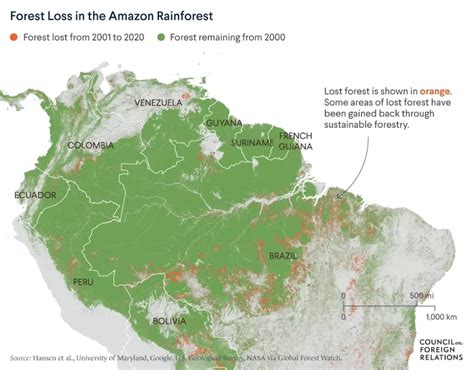 Amazon Rainforest Map Outline