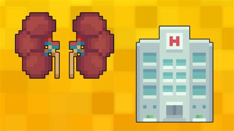 Common Urological Investigations Psa Cystoscopy Geeky Medics