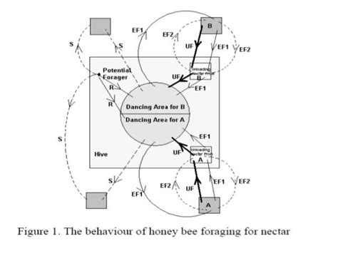 Artificial Bee Colony Algorithm