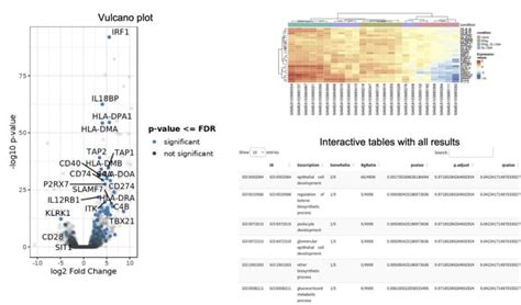 Do Bioinformatics Data Analysis By Wanderer Luke17 Fiverr
