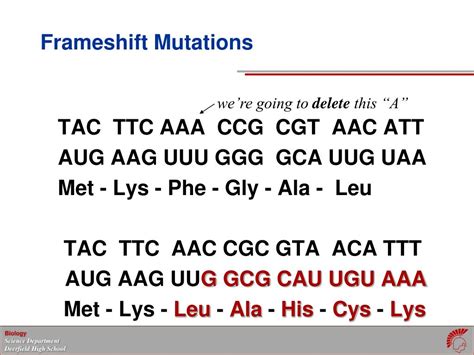 Ppt Dna Mutations Powerpoint Presentation Free Download Id 3389314