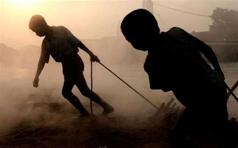 Заставляла убирать за скотом в Улытау женщина издевалась над патронатными детьми