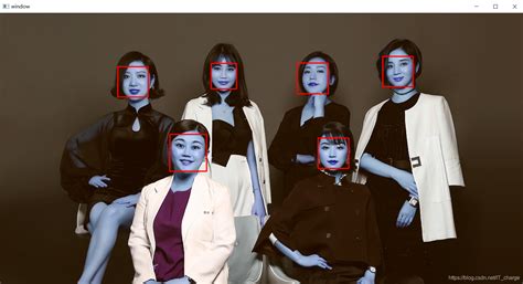 Python Development System Practical Project Face Recognition Access