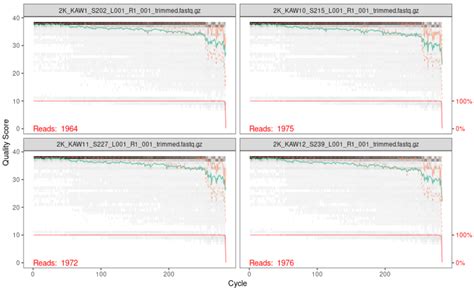 Metabarcoding Workflow