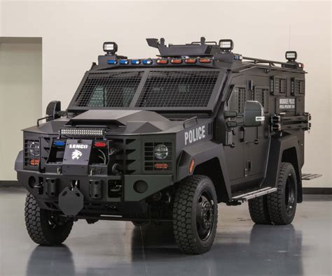 What Is A Bearcat The Ultimate Fun Guide