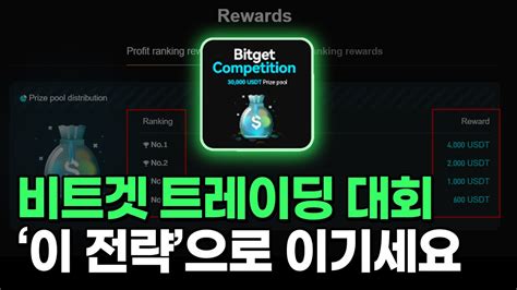 비트코인 트레이딩 대회 이 전략이면 무조건 손해는 덜본다 Youtube