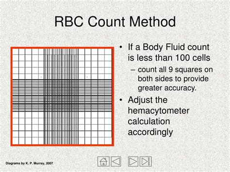 Cell Count Calculations At Travis Day Blog