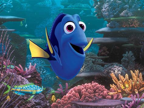 Nemo Agus Dory Saol Fíor Finding Dory Finding Nemo Dvd 2016 Andrew