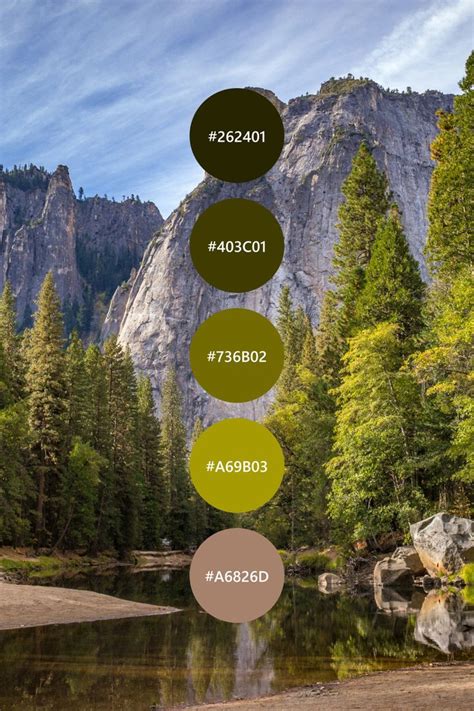 Island Escape Palm Tree Color Swatches Hex Color Palette Color